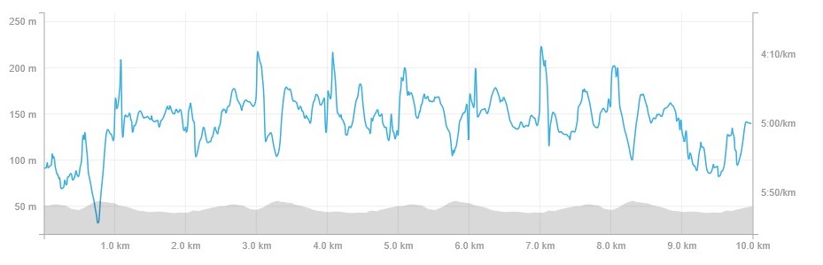 21 jan – VAN, RUN, SWIM, HIKE